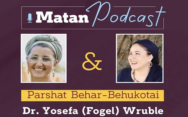 A Shmitta Beyond Prohibition | The Times of Israel