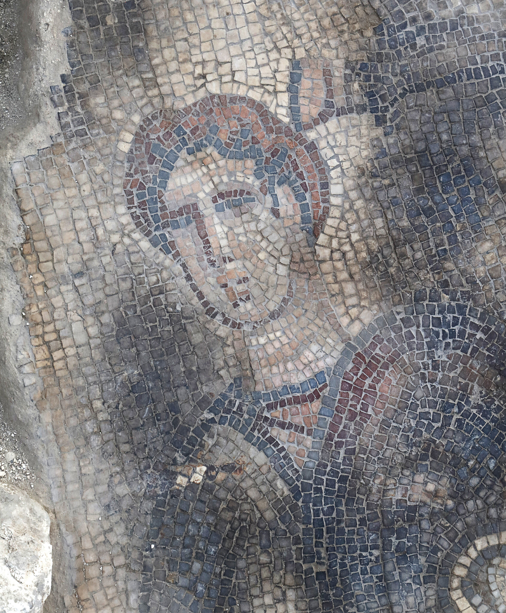 In vivid color: 1,500-year-old Huqoq mosaic depicts Samson, animals ...