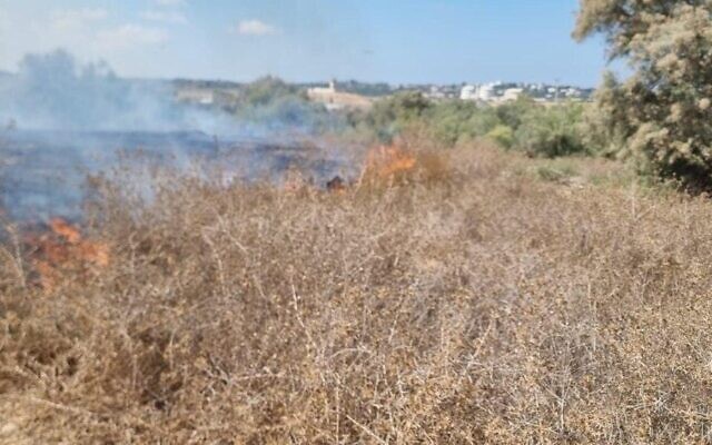 Balloon-borne incendiary devices from Gaza spark brushfires in southern ...