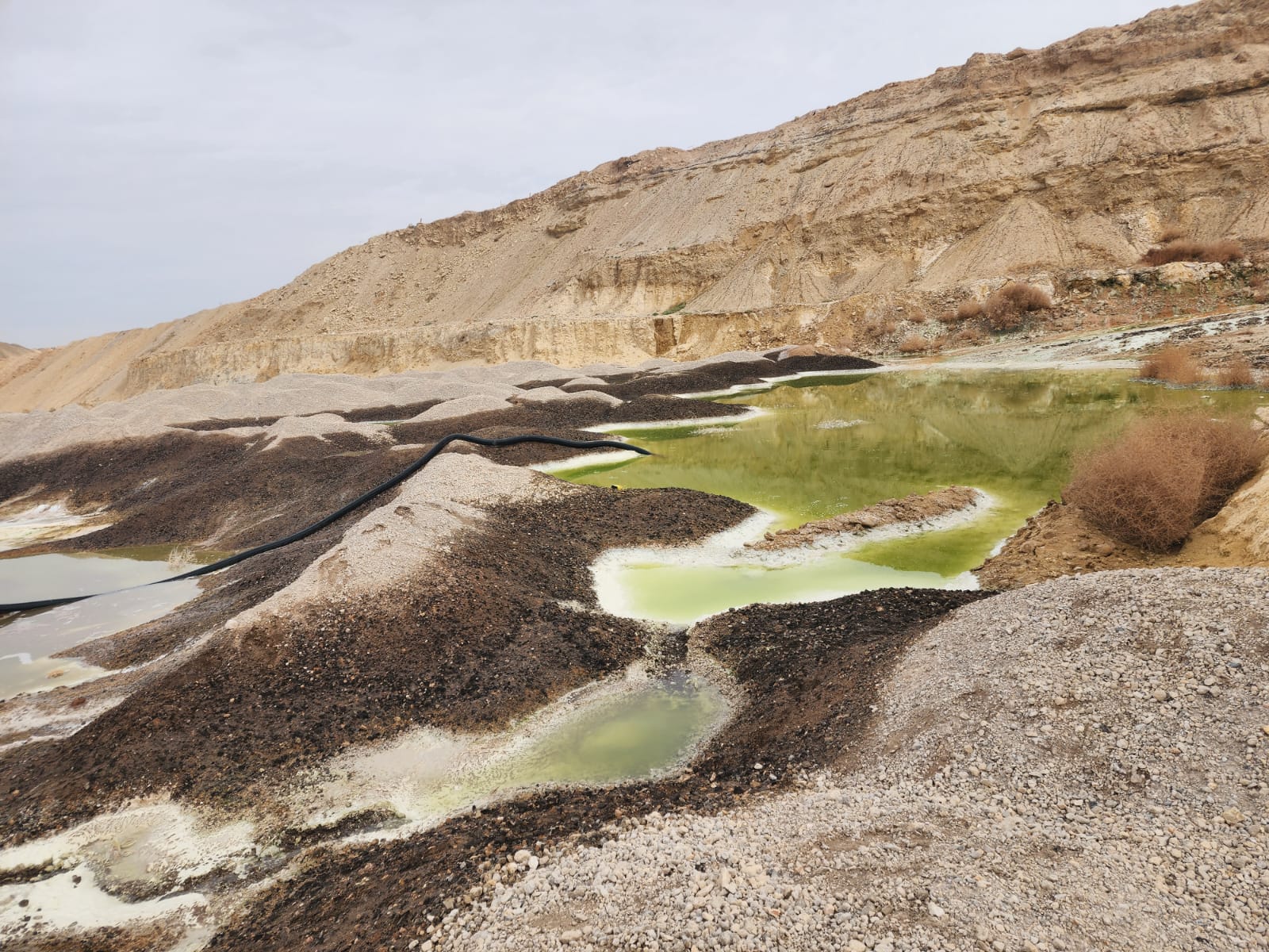 Oil refineries, phosphate mines, perform worst on environmental impact ...