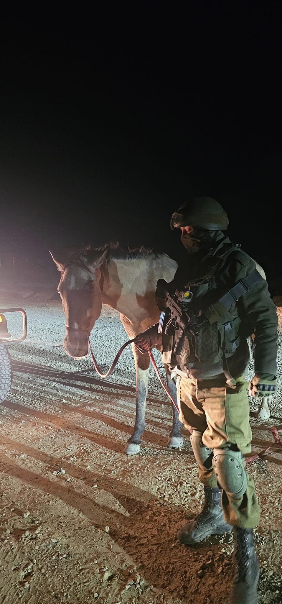 Israeli troops' rescue of animals in Gaza fuels pro-Palestinian ...