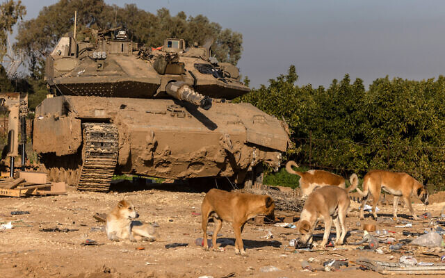 Citing health concerns, Health Ministry warns against bringing in pets ...