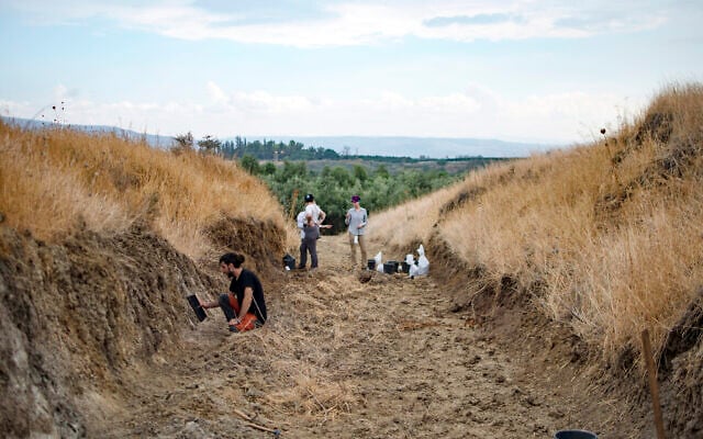 New national park centered on prehistoric site officially opens to ...