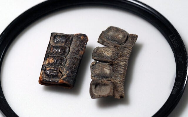 Study: Ancient phylacteries' natural leather color illustrates ...