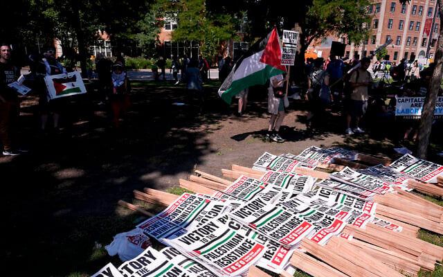Thousands of pro-Palestinian protesters gather for march on Democratic ...