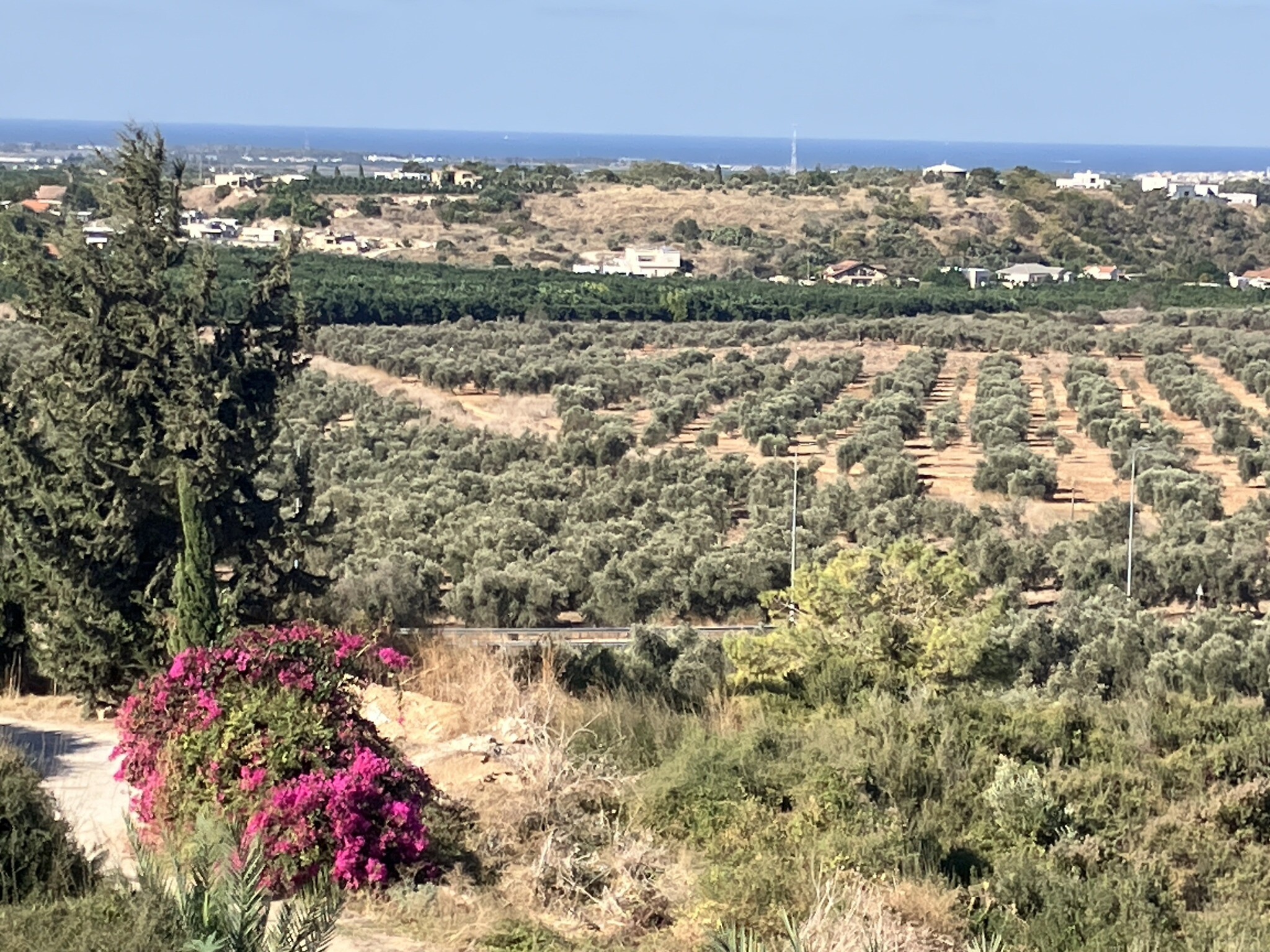 An off-the-grid hippie hamlet in Israel's north struggles for survival ...