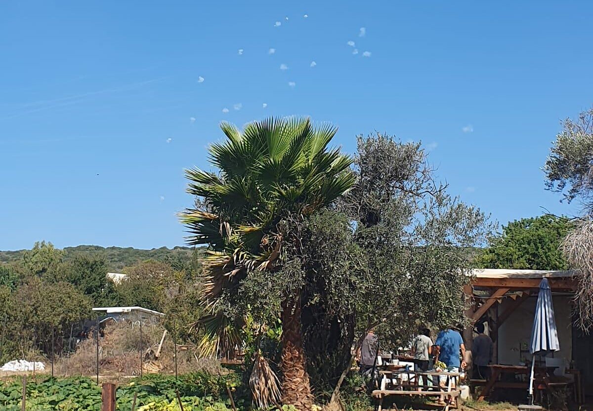 An off-the-grid hippie hamlet in Israel's north struggles for survival ...