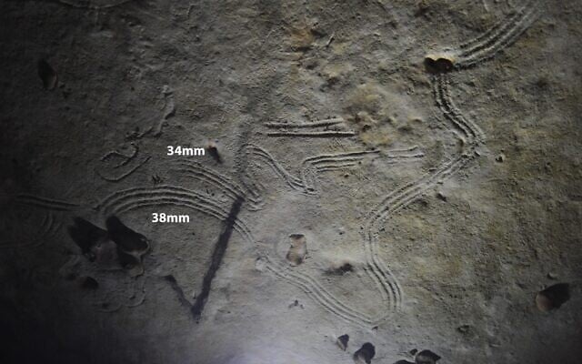 Paleolithic kids' finger painting in underground caves may have had a ...