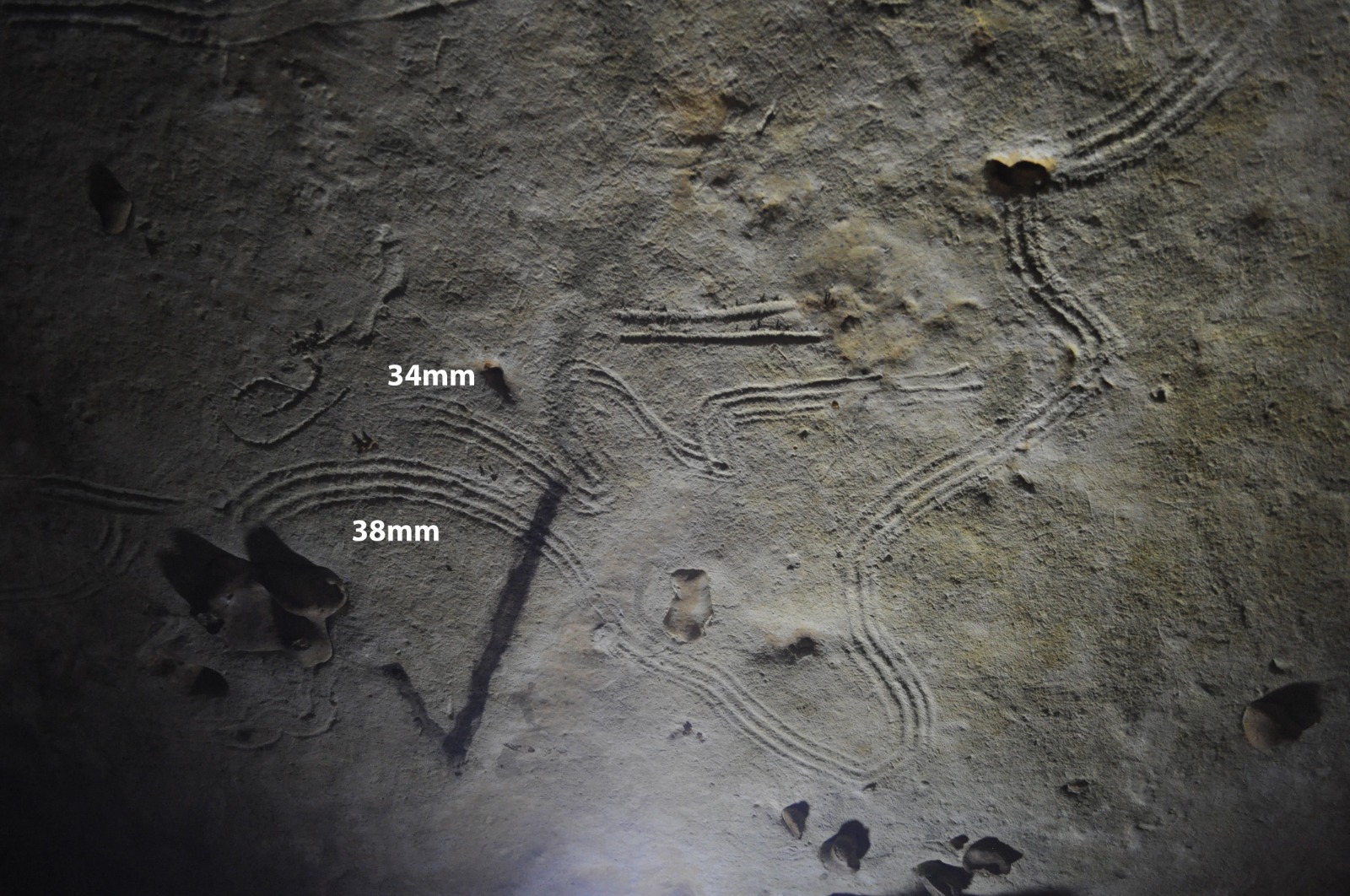Paleolithic kids’ finger painting in underground caves may have had a ...