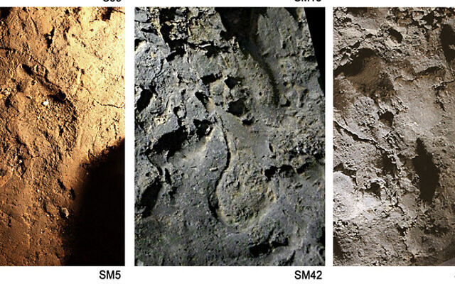 Paleolithic kids' finger painting in underground caves may have had a ...