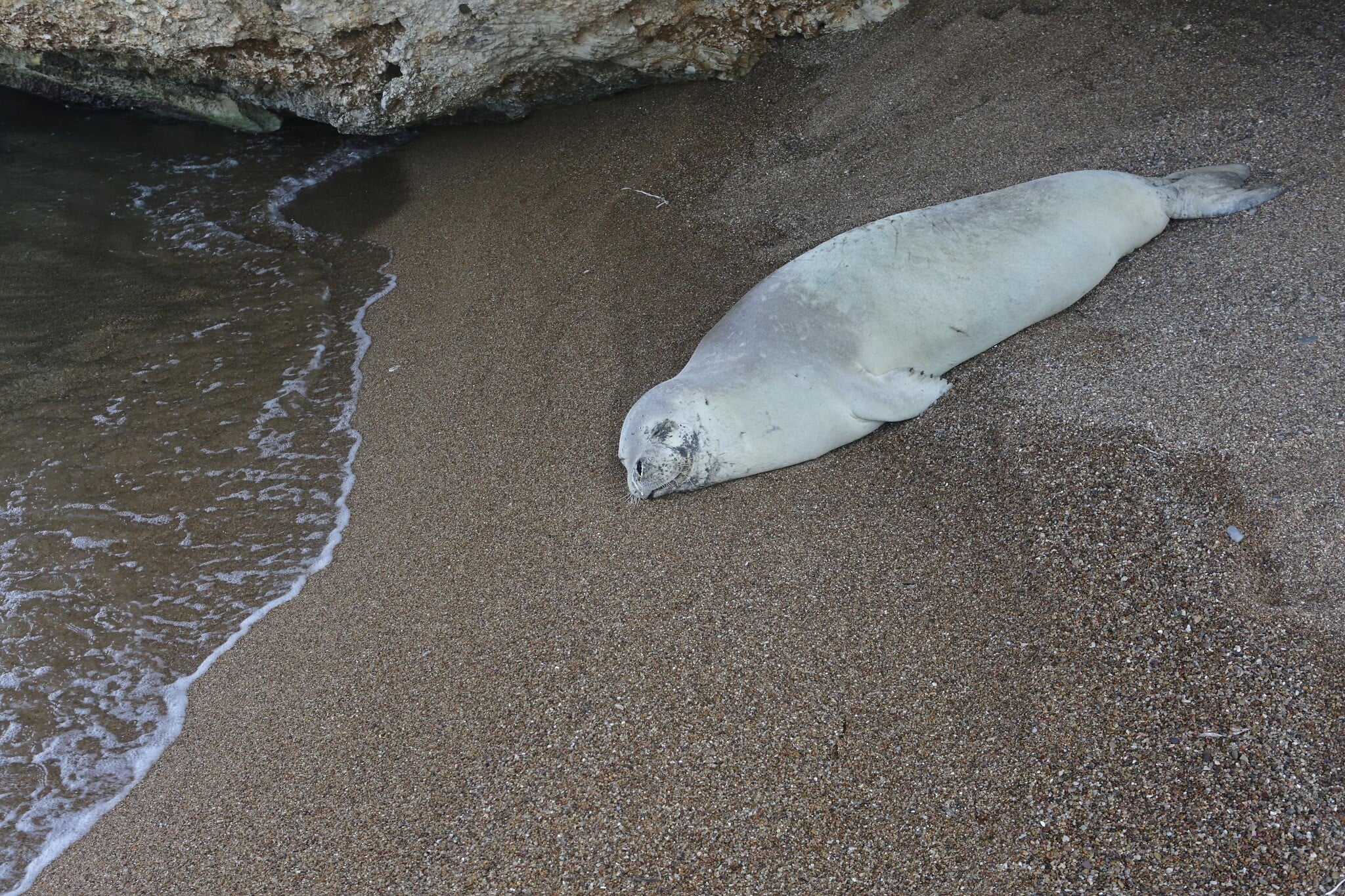 Israeli and Cypriot researchers team up on extreme cave makeover for ...