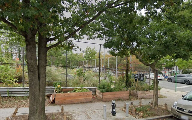 NYC penalizes organizers of community garden that required members to ...