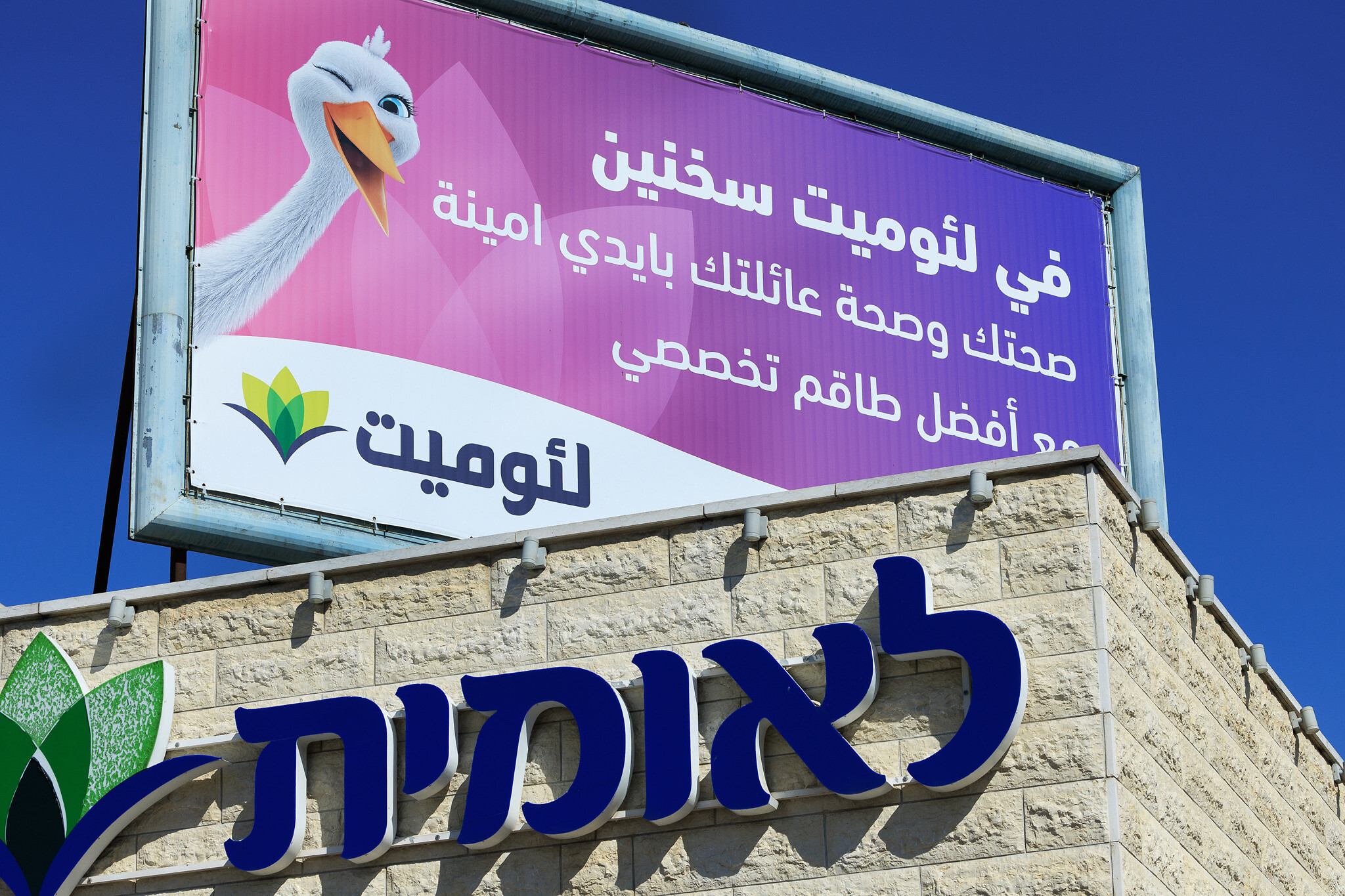 Israel's Jews think IDF tries not to hurt civilians in Gaza; Arabs ...