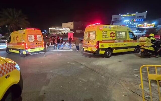 Three brothers shot dead as illegal weapons deal goes bad in south ...