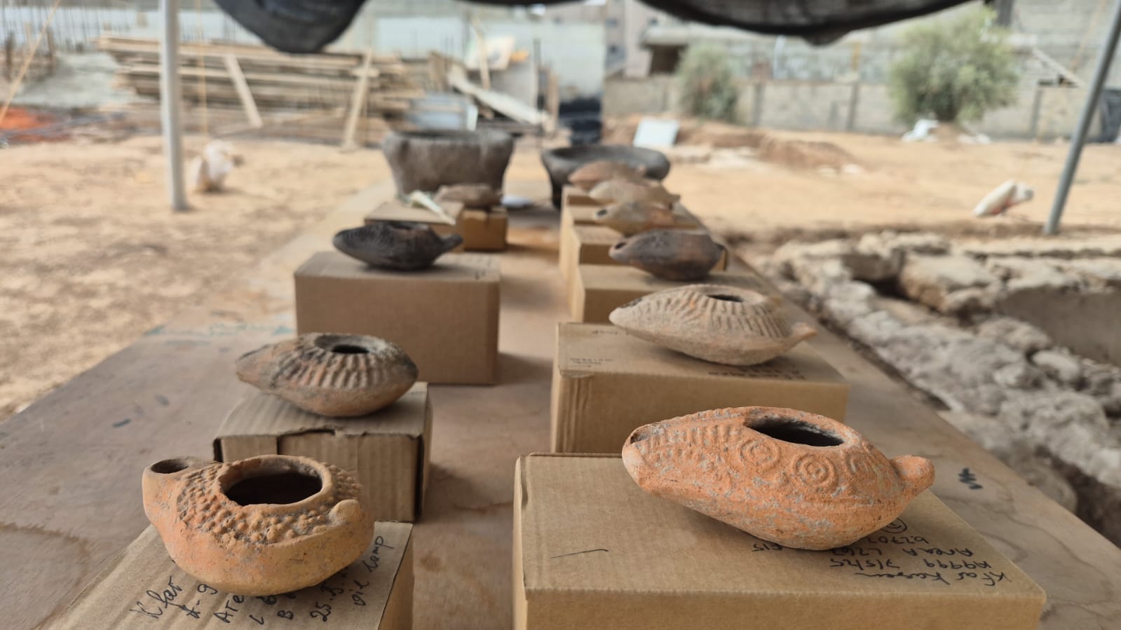 Archaeologists petition High Court to block appointment of new ...