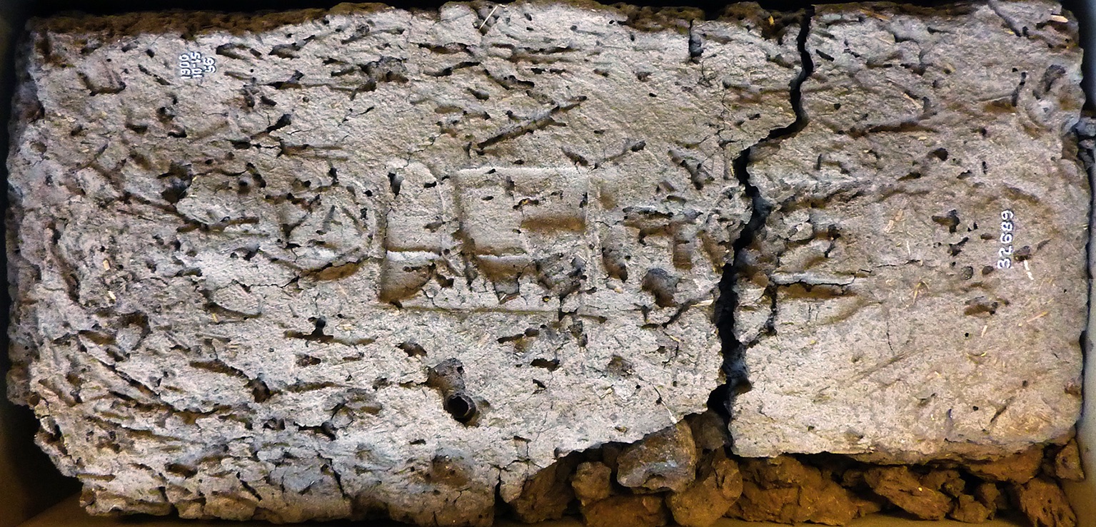 Study anchors obscure pharaoh in time, opening research path into dating the Exodus | The Times ...