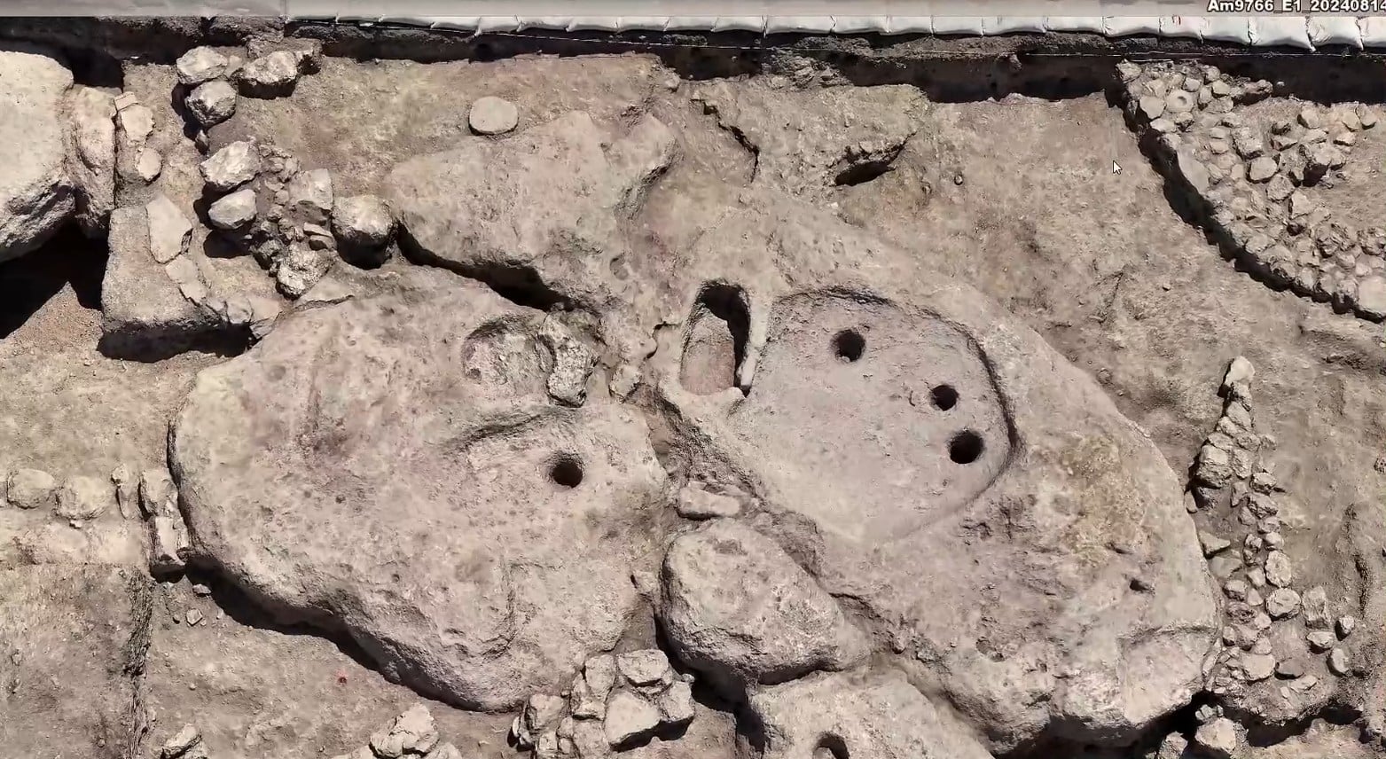 5,000-year-old grape press, oldest proof of wine production in Israel ...