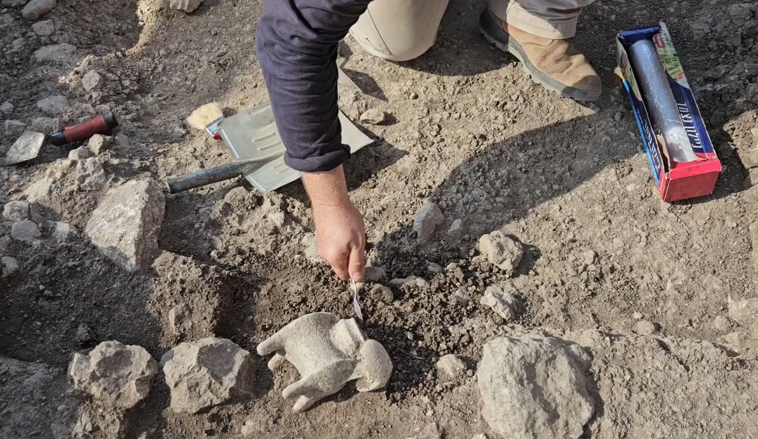 5,000-year-old grape press, oldest proof of wine production in Israel ...