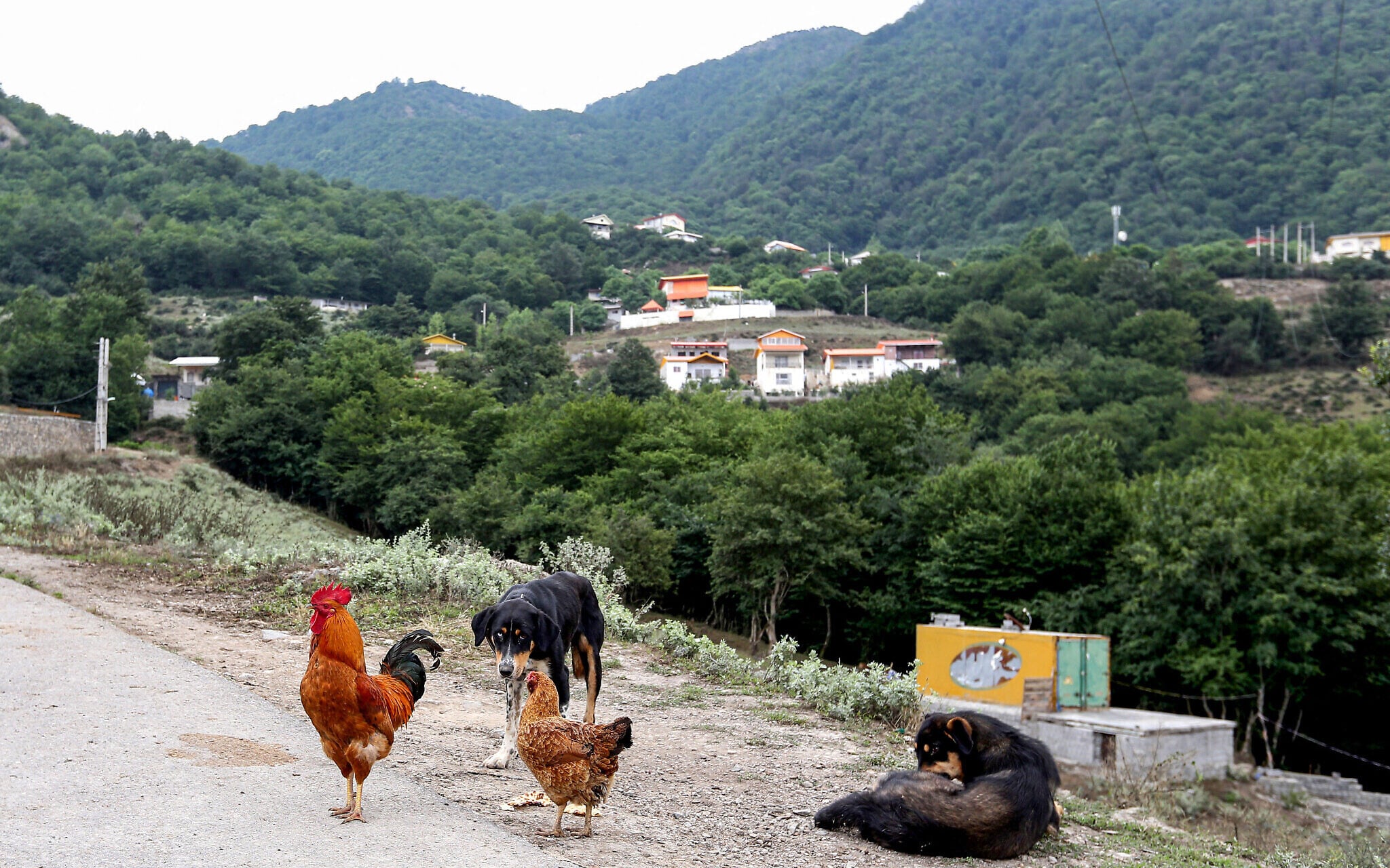 Iran seeks 'urgent assistance' to put out fire in UNESCO-listed ...