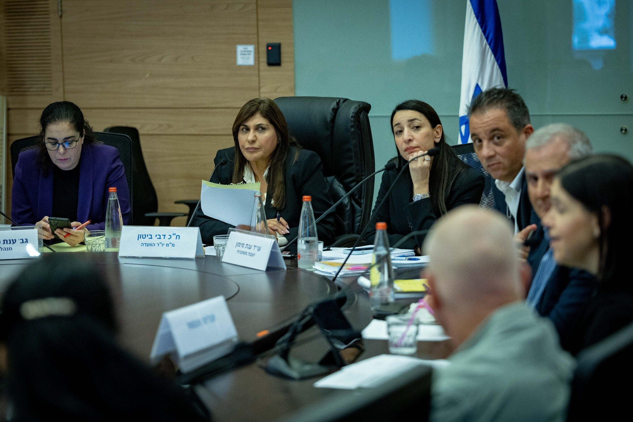 From key Knesset post, Religious Zionism's Woldiger champions healing ...