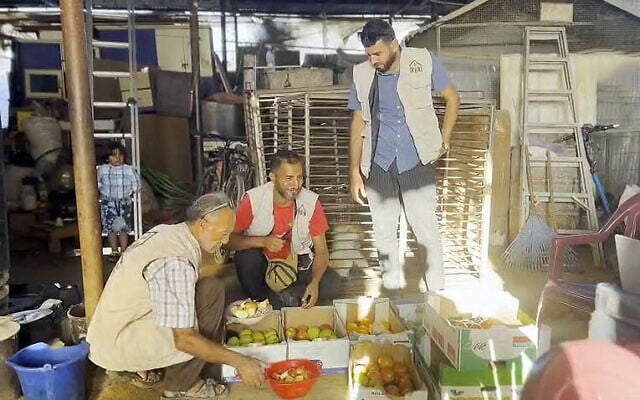 In Gaza, a home for orphans steps up to save starving animals from ...