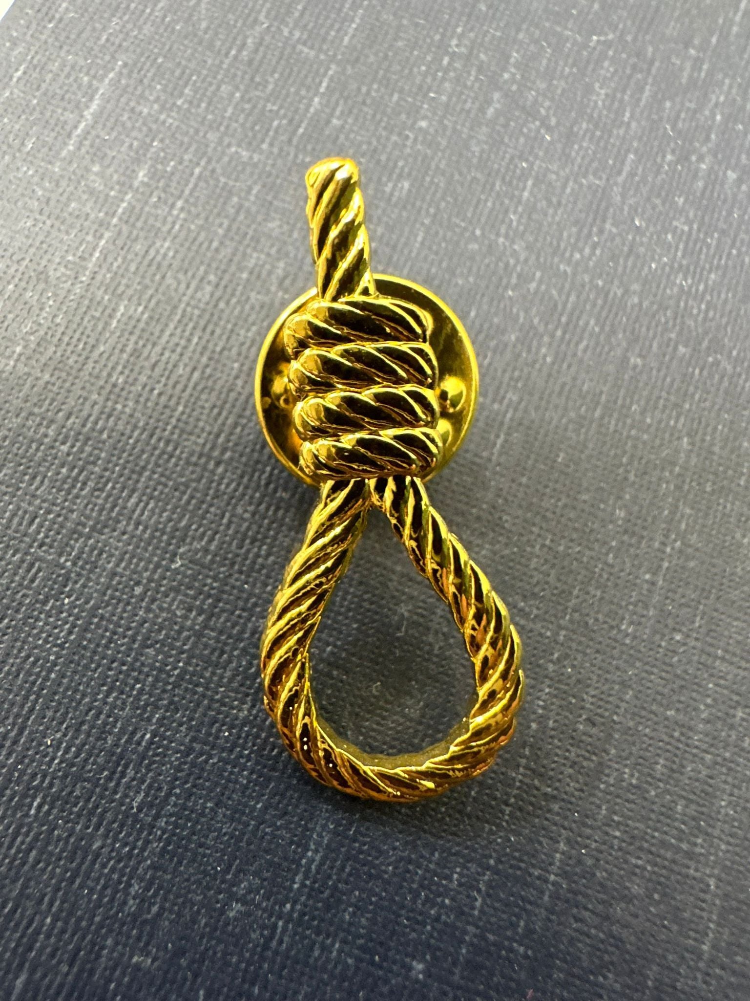 Far-right MKs sport noose-shaped pins at hearing on controversial death ...