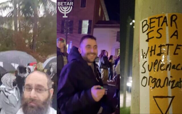 Anti-Israel activist Nerdeen Kiswani sues Betar USA, alleging violation ...