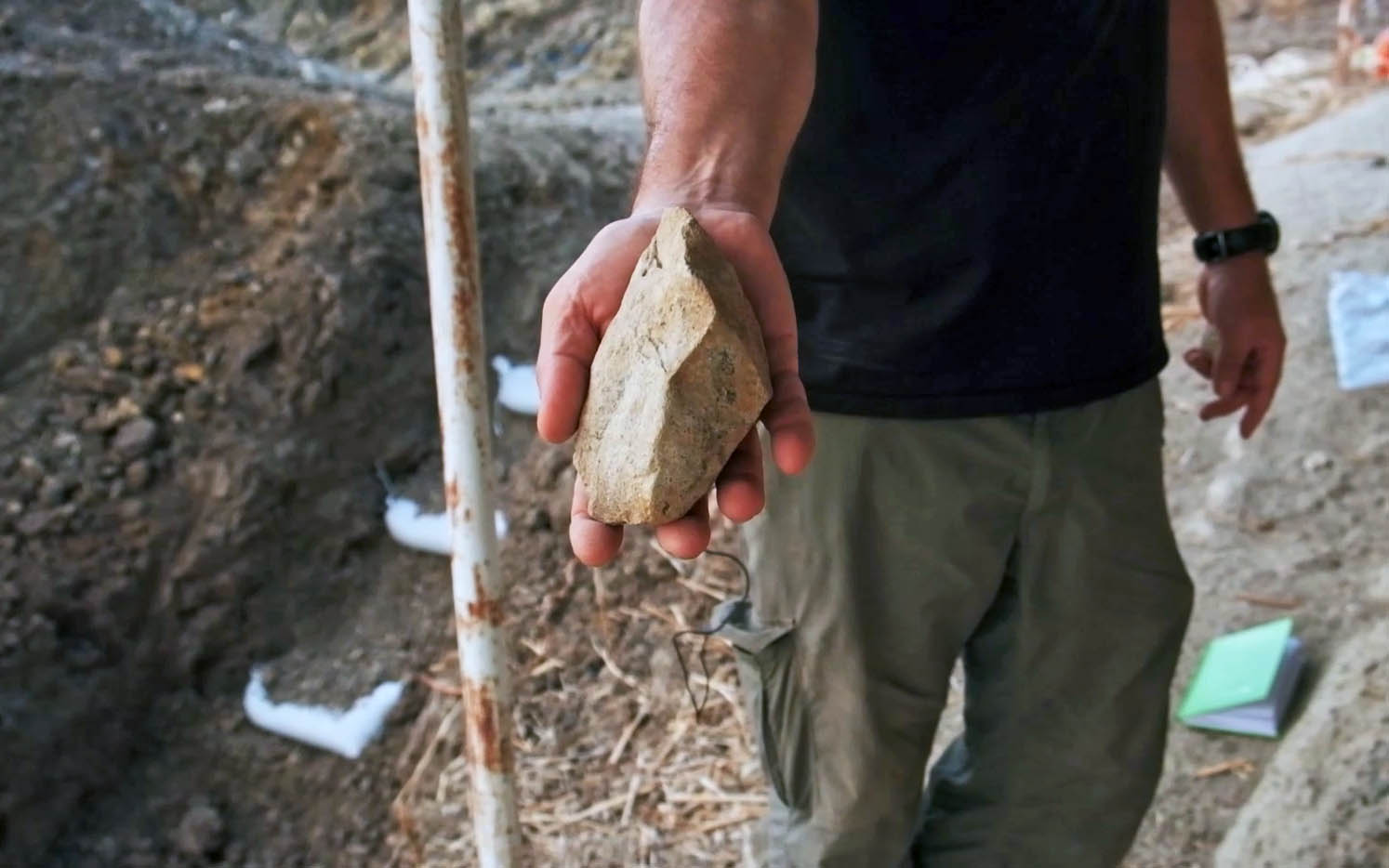 New study puts hominins in Israel 1.9 million years ago, rewriting ...