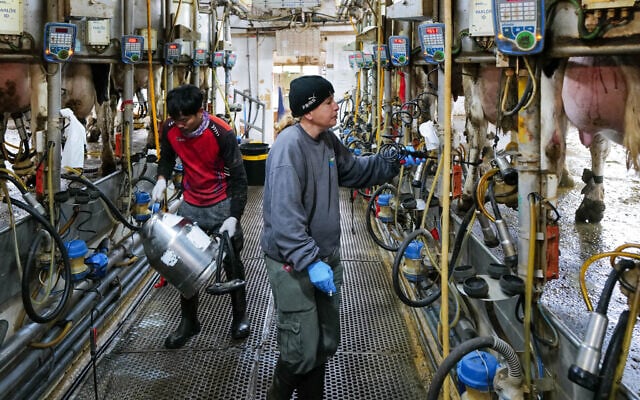 Dairy Board announces halt to milk supplies as farmers step up reform ...