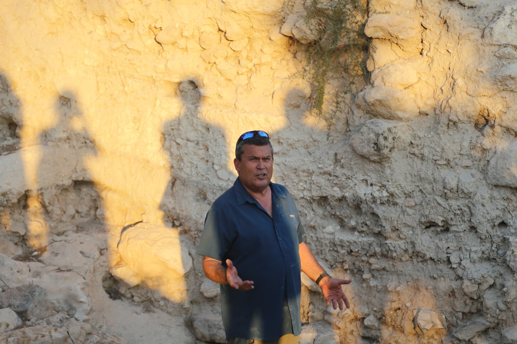 Archaeologists petition High Court to block appointment of new ...