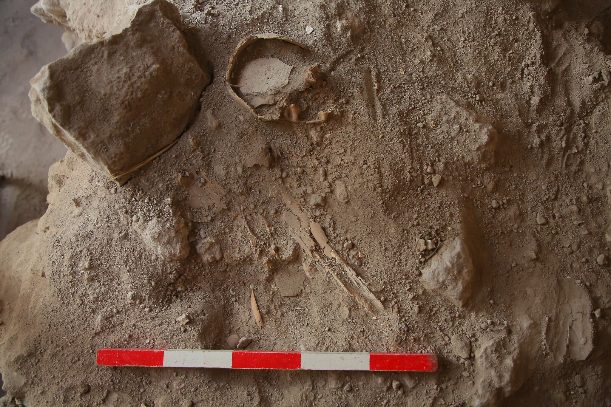 2,500-year-old infant mass grave cracks open enigma of biblical-era ...