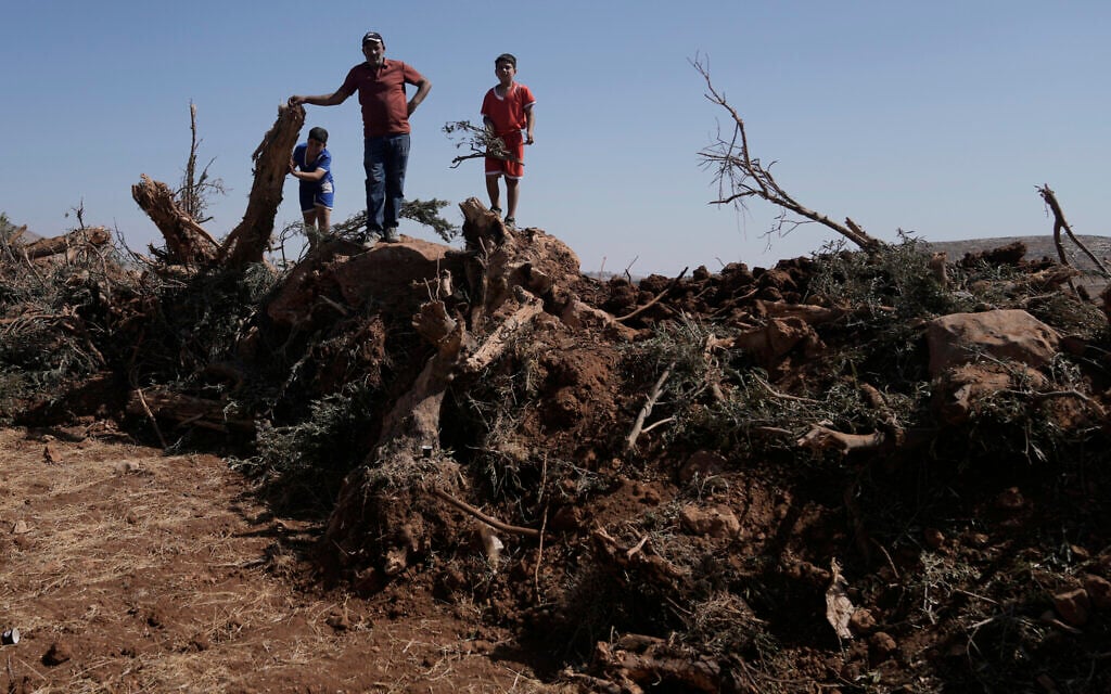 Citing security, IDF appears to sharply accelerate uprooting of West ...
