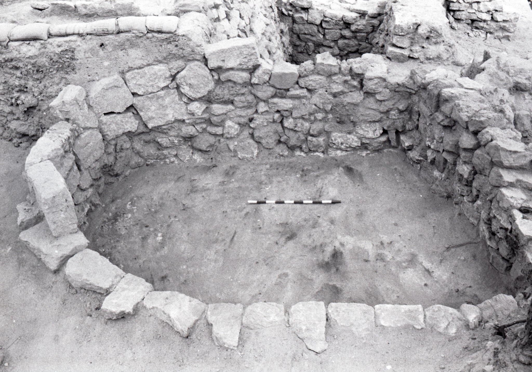 How ancient seeds are rewriting the history of biblical-era trade with ...
