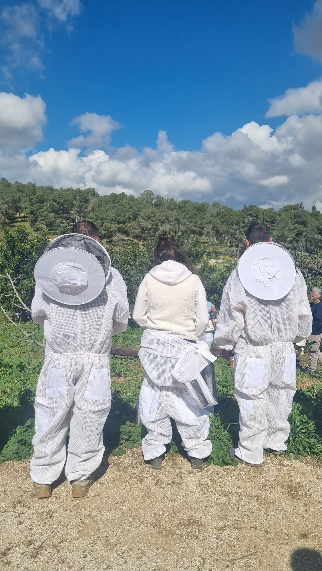 Germinated by its founder’s trauma, growing farm network cultivates ...